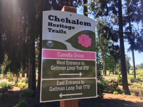 Chehalem Glenn Golf Course Trails | Chehalem Park & Recreation District